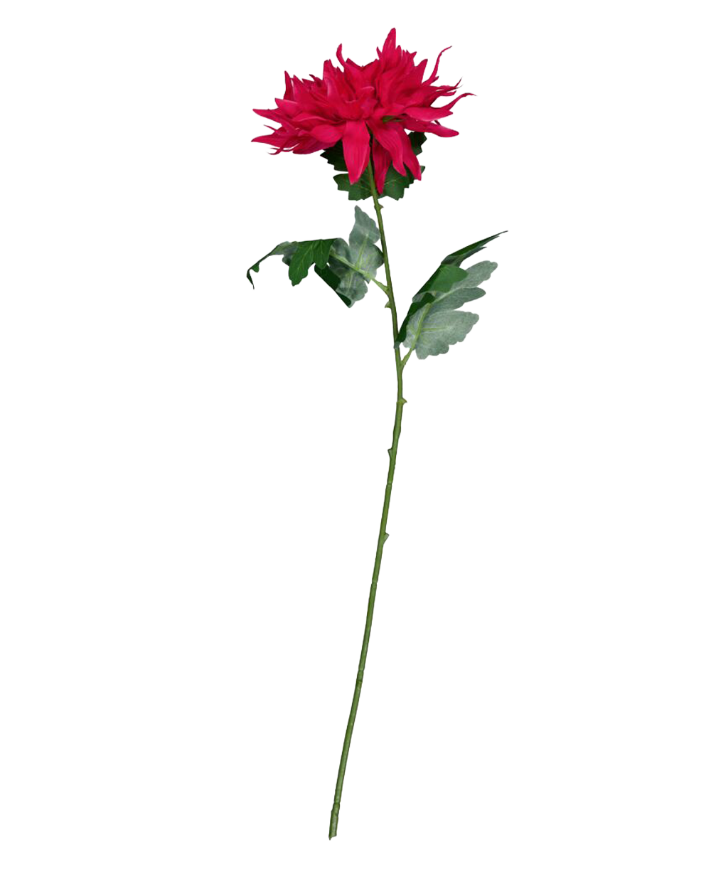 Fleurs artificielles - Rouge | Zeeman