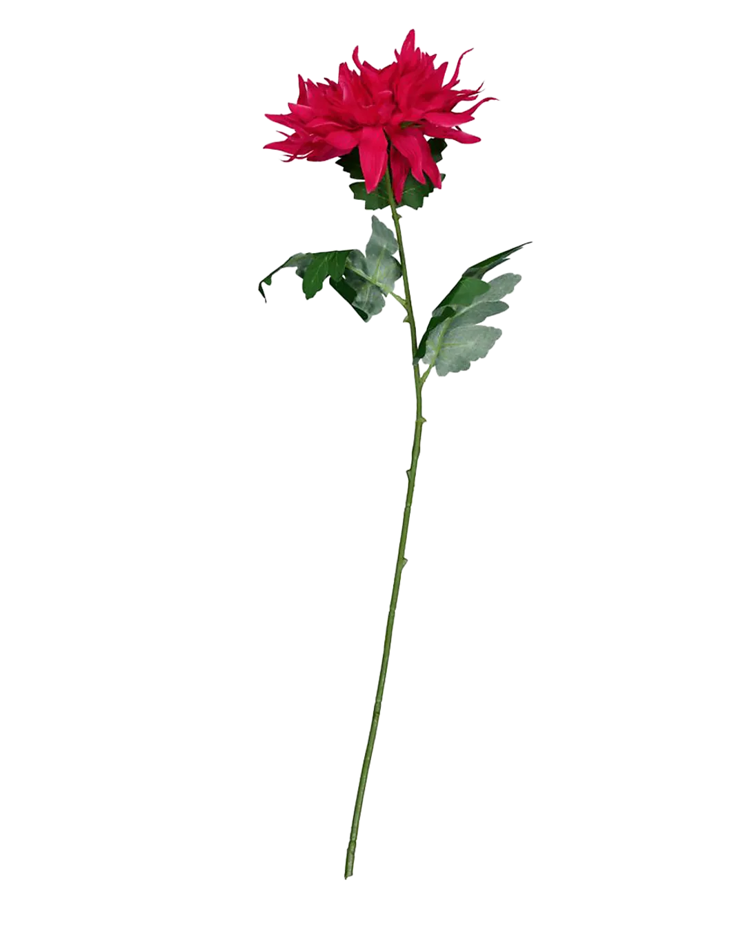 Fleurs artificielles - Rouge | Zeeman