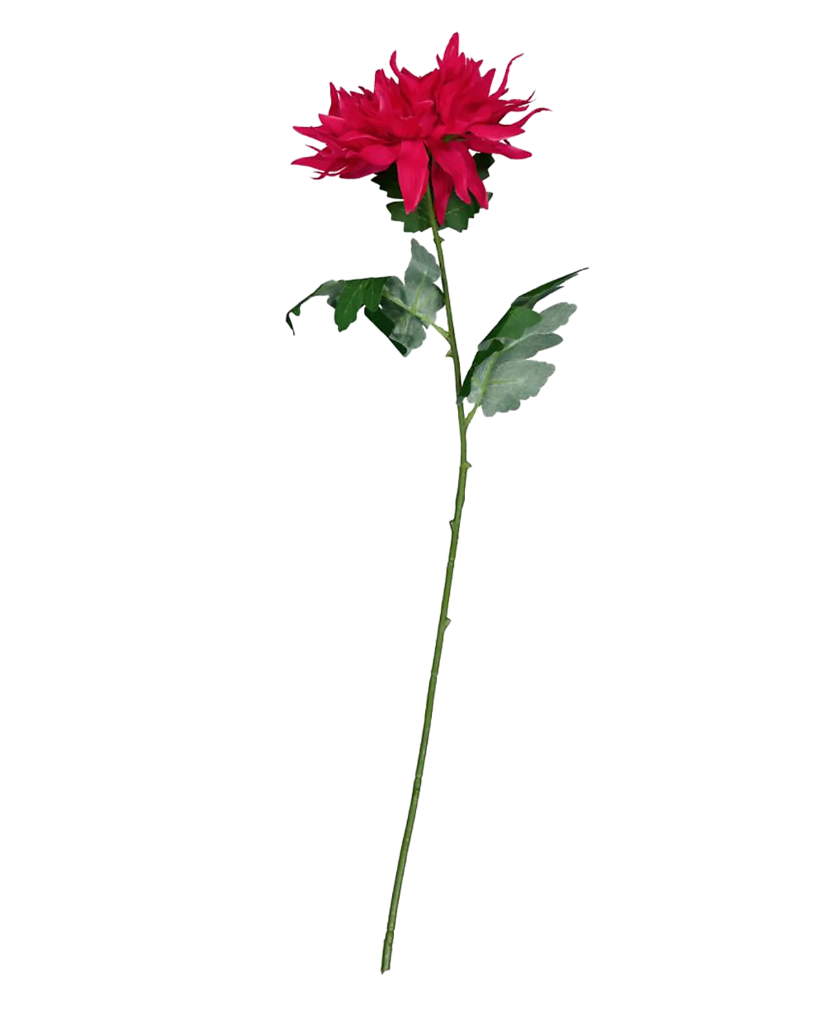 Fleurs artificielles - Rouge | Zeeman