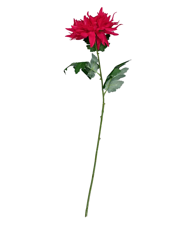Fleurs artificielles - Rouge | Zeeman