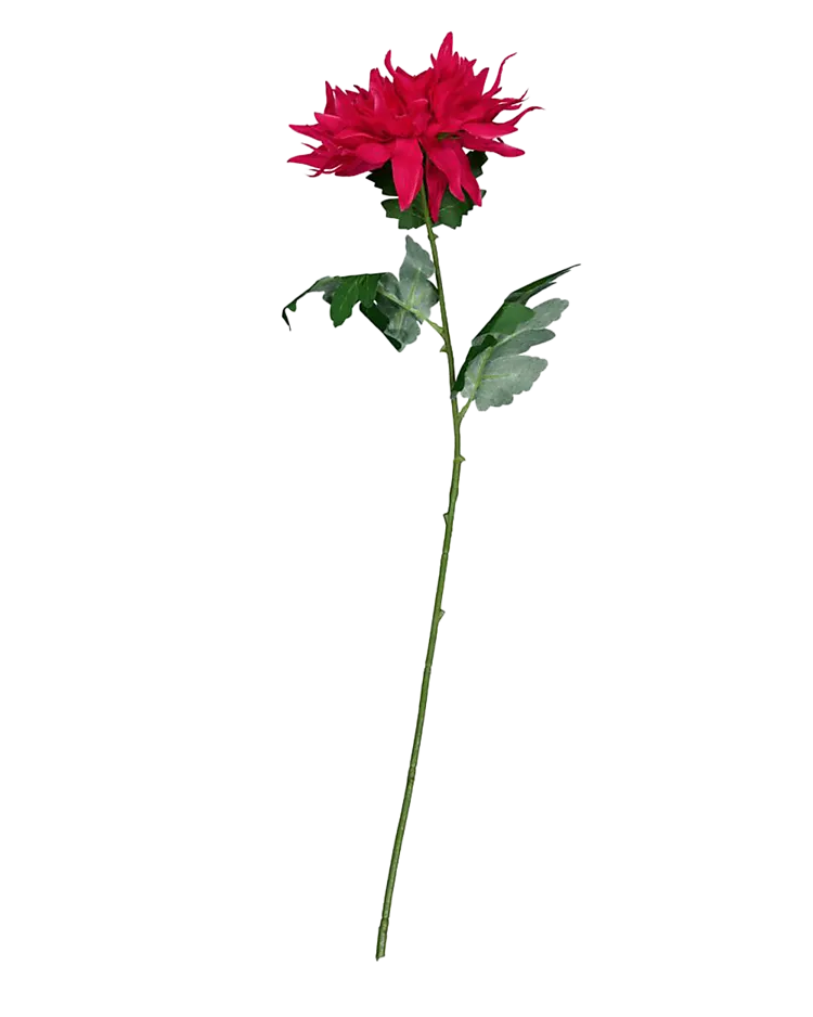 Fleurs artificielles - Rouge | Zeeman
